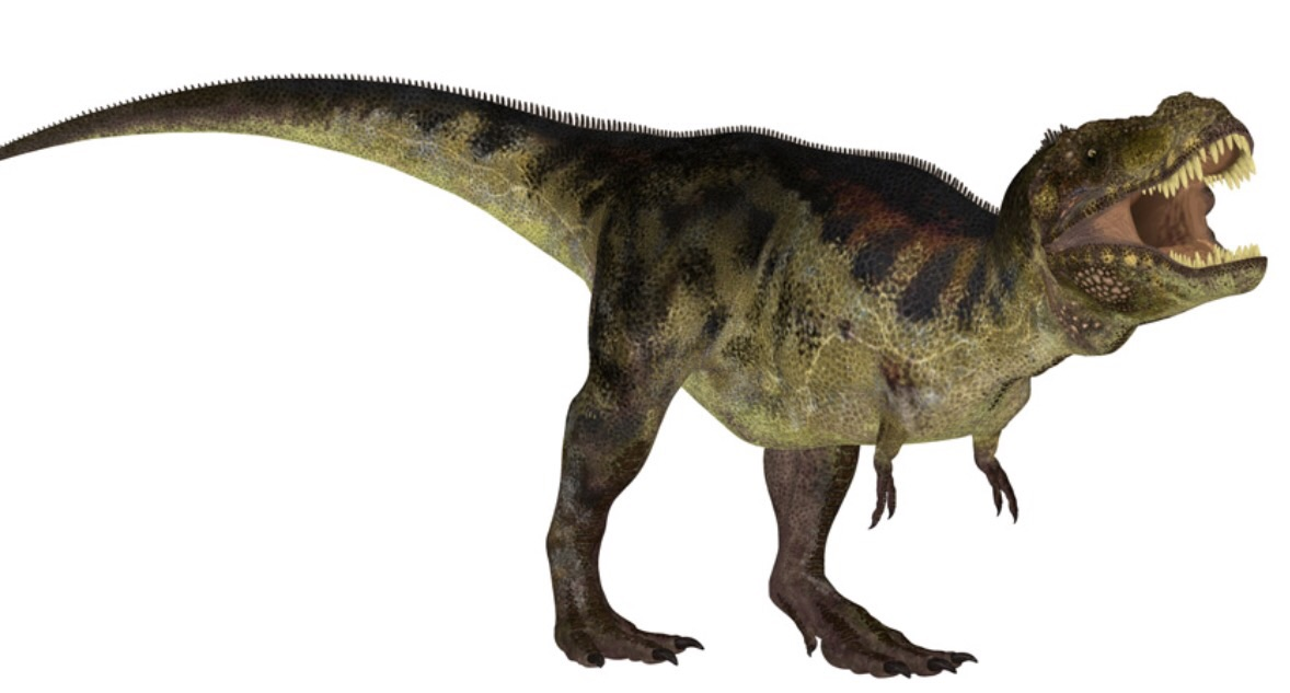 Corpul si înfățișarea dinozaurilor, află toate detaliile - Deștepți.ro