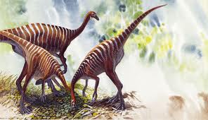 Dinozaurul Dromiceiomimus, unul dintre cei mai mari dinozauri - Deștepți.ro