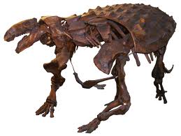 Dinozaurul Denversaurus din America de Nord, un ankylozaur erbivor ...