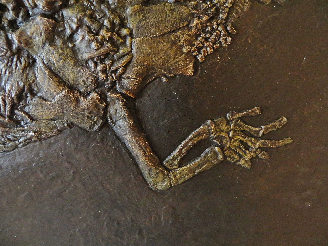 Lariosaurus – reptilă semiacvatică din Triasicul mijlociu