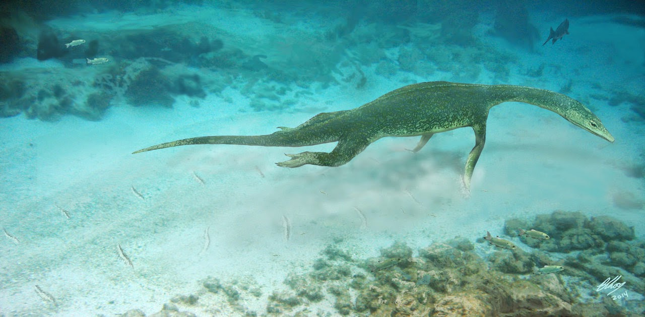 Lariosaurus, o reptilă semiacvatică din Triasicul mijlociu - Deștepți.ro