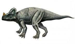 Montanoceratops, dinozaurul descoperit în Montana