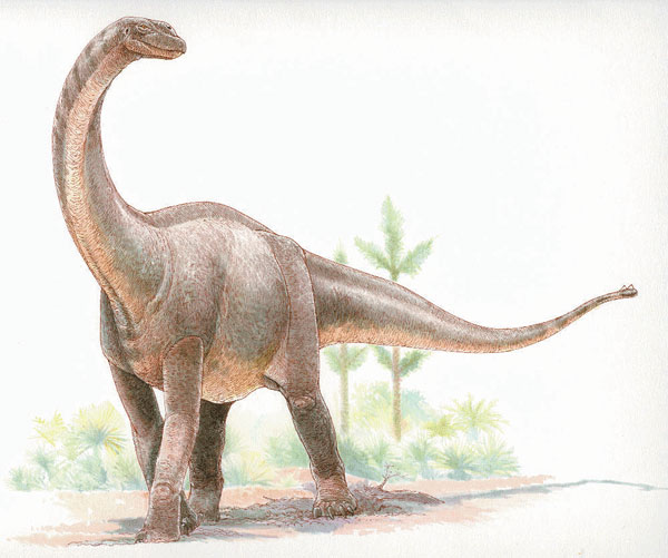 Dinozaurul Quaesitosaurus, o reptilă erbivoră din era Cretacicului ...