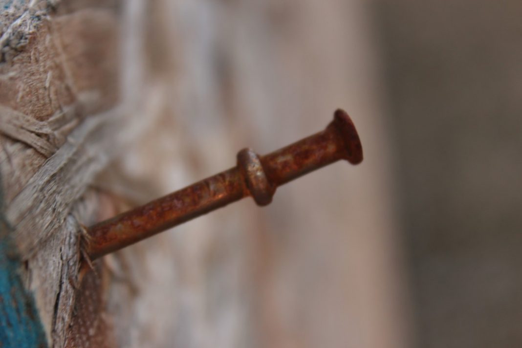 Cand a fost inventat cuiul? - Deștepți.ro