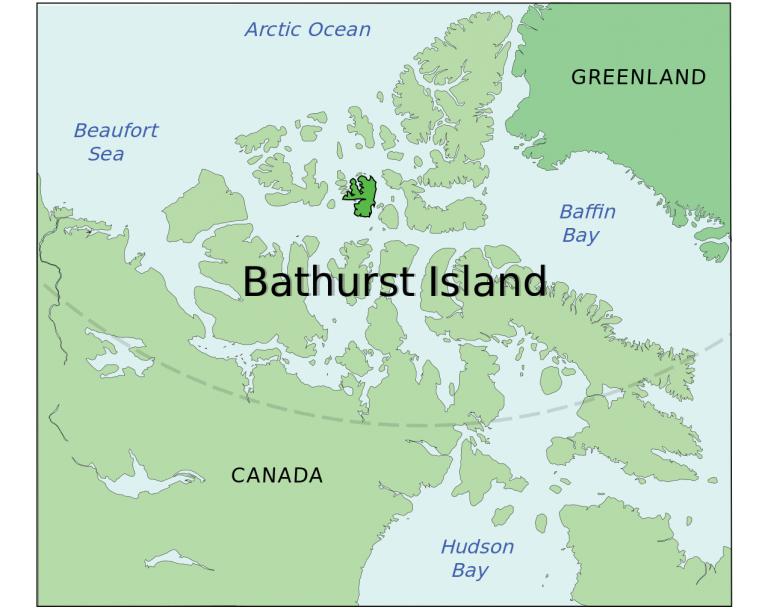 Insula Bathurst: Obiective turistice Australia - Bathurst - Deștepți.ro