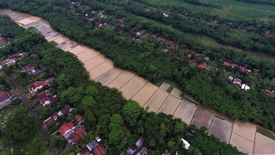 Insula Java: Obiective turistice Indonezia - Java - Deștepți.ro