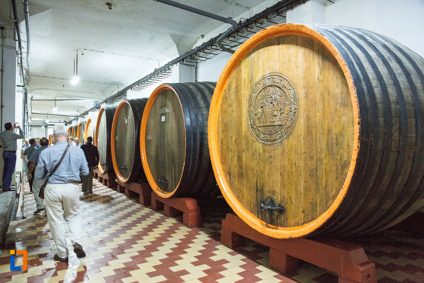 Crama Muzeu Murfatlar: descoperă vinul Dobrogei