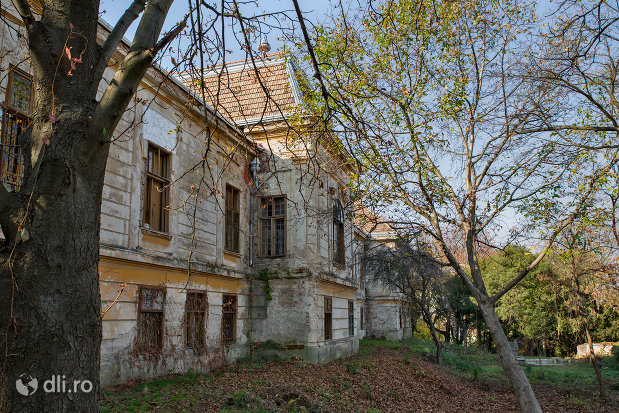 Castelul Stubenberg: descoperă istoria nobiliară în Bihor