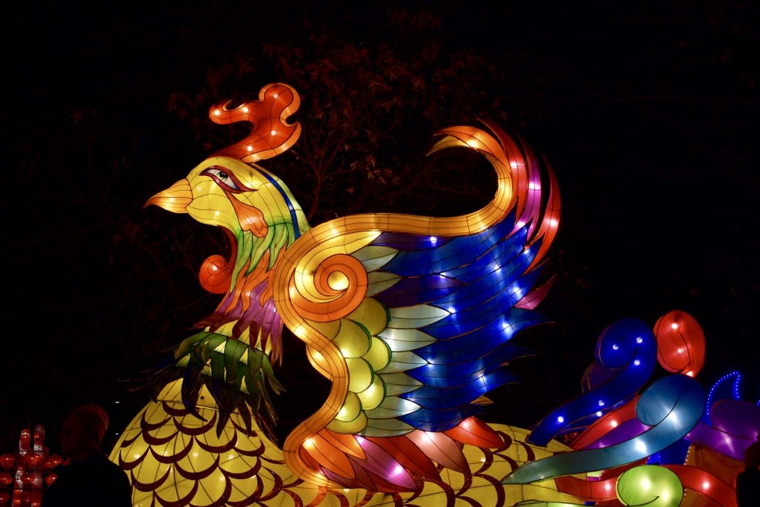 Legenda Păsării Phoenix - creatura ce renaște din propria-i cenușă ...