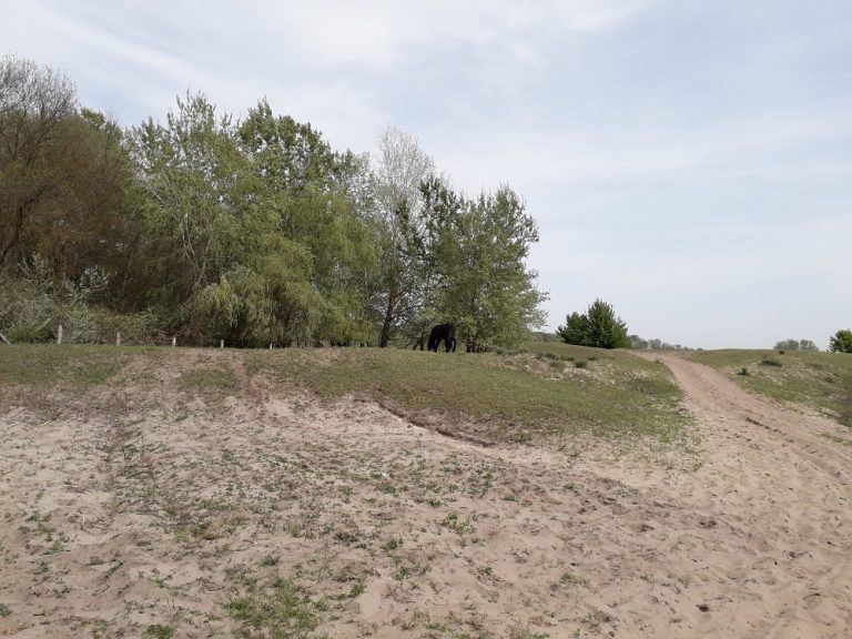 10 locuri de vizitat în România, care îți vor schimba părerea despre ...