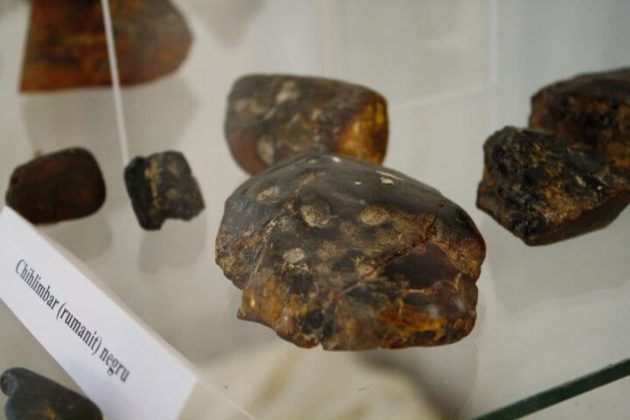 Drumul chihlimbarului. Cel mai valoros chihlimbar din lume, în România